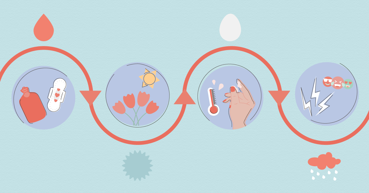 Menstrual Cycle Phases Explained: Stages, Hormones & What to Expect
